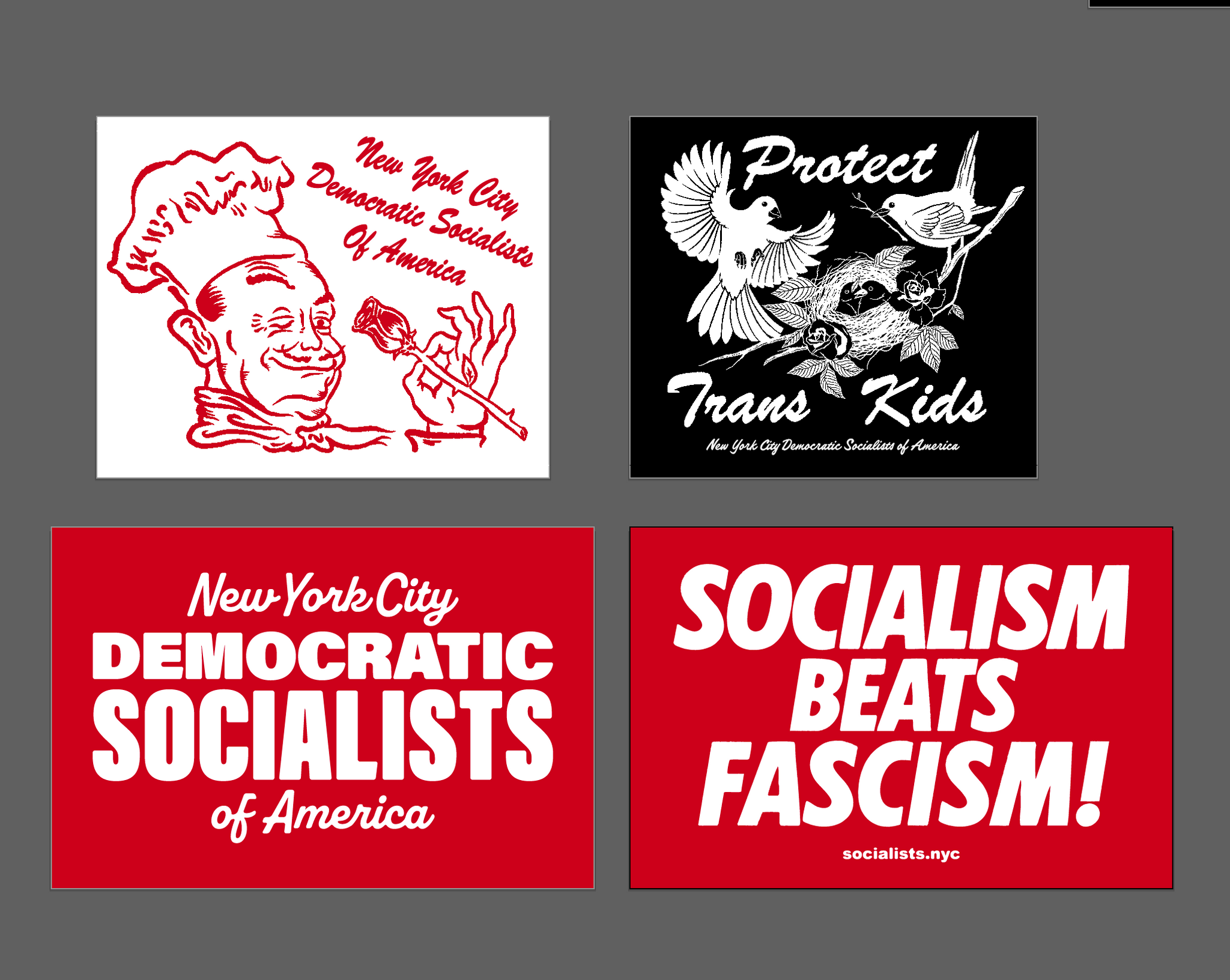NYC-DSA Merch Shop – NYC-DSA Shop